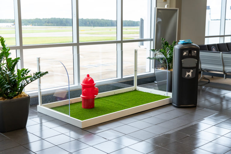 12 Pet-Friendly Amenities Your Renters Will Love | Resi